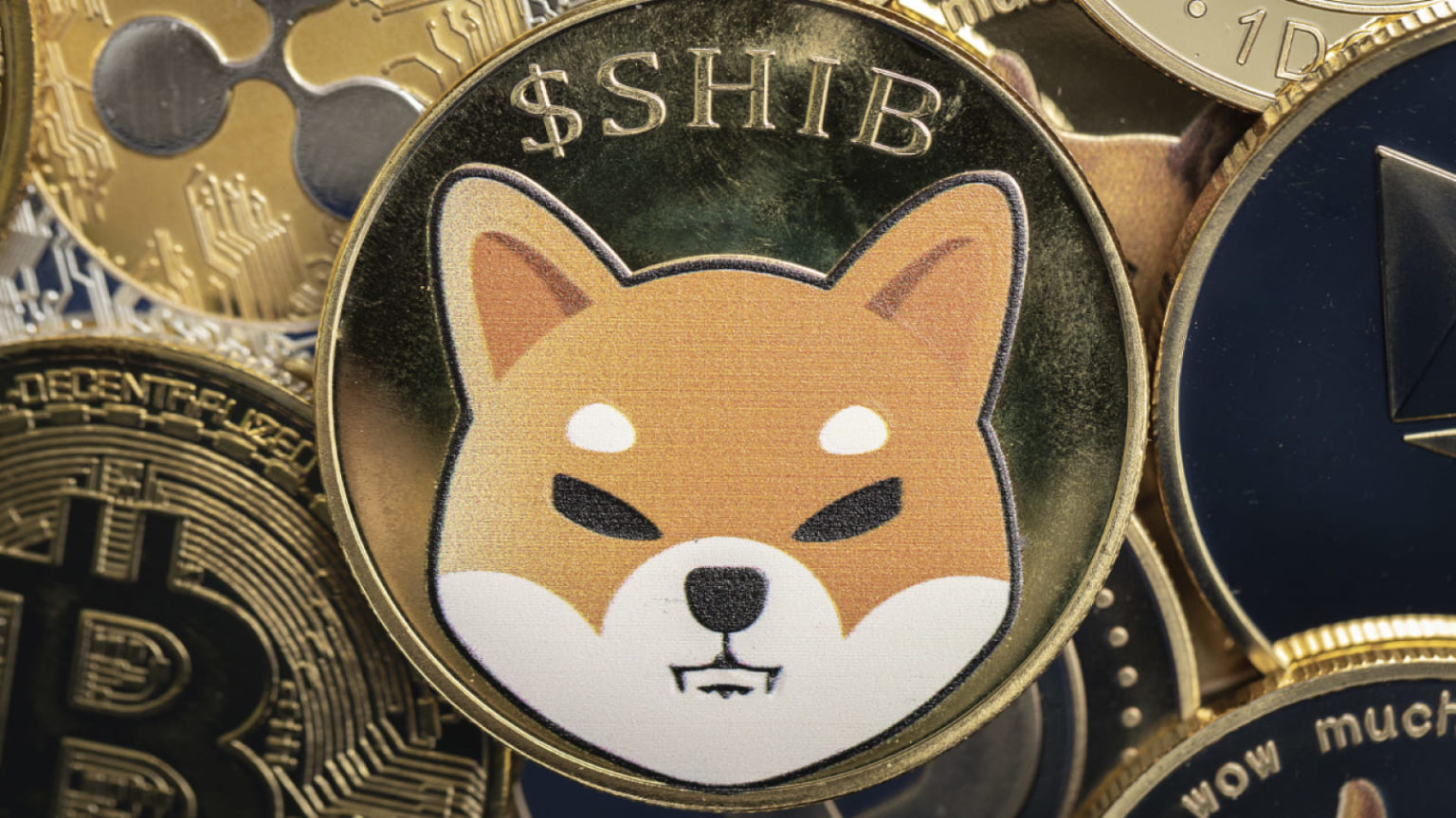 Netflix e Spotify passam aceitar Shiba Inu (SHIB) | Money Invest