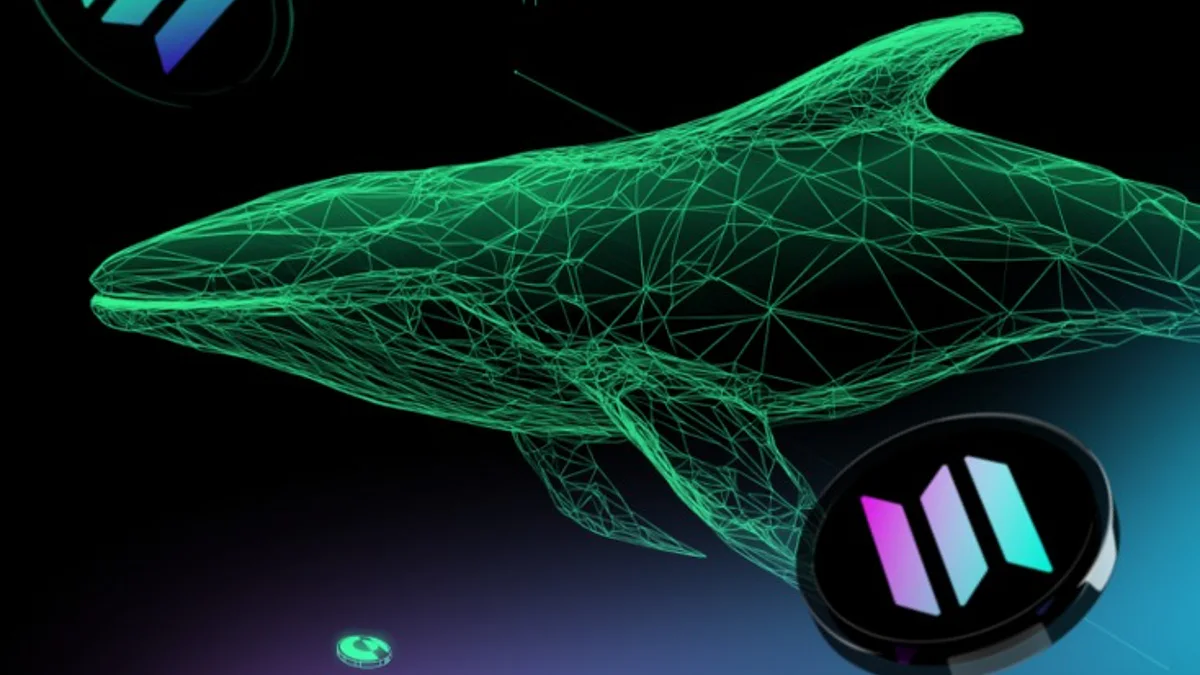 Lunex Network atinge recorde e pode substituir Binance Coin - Money Invest